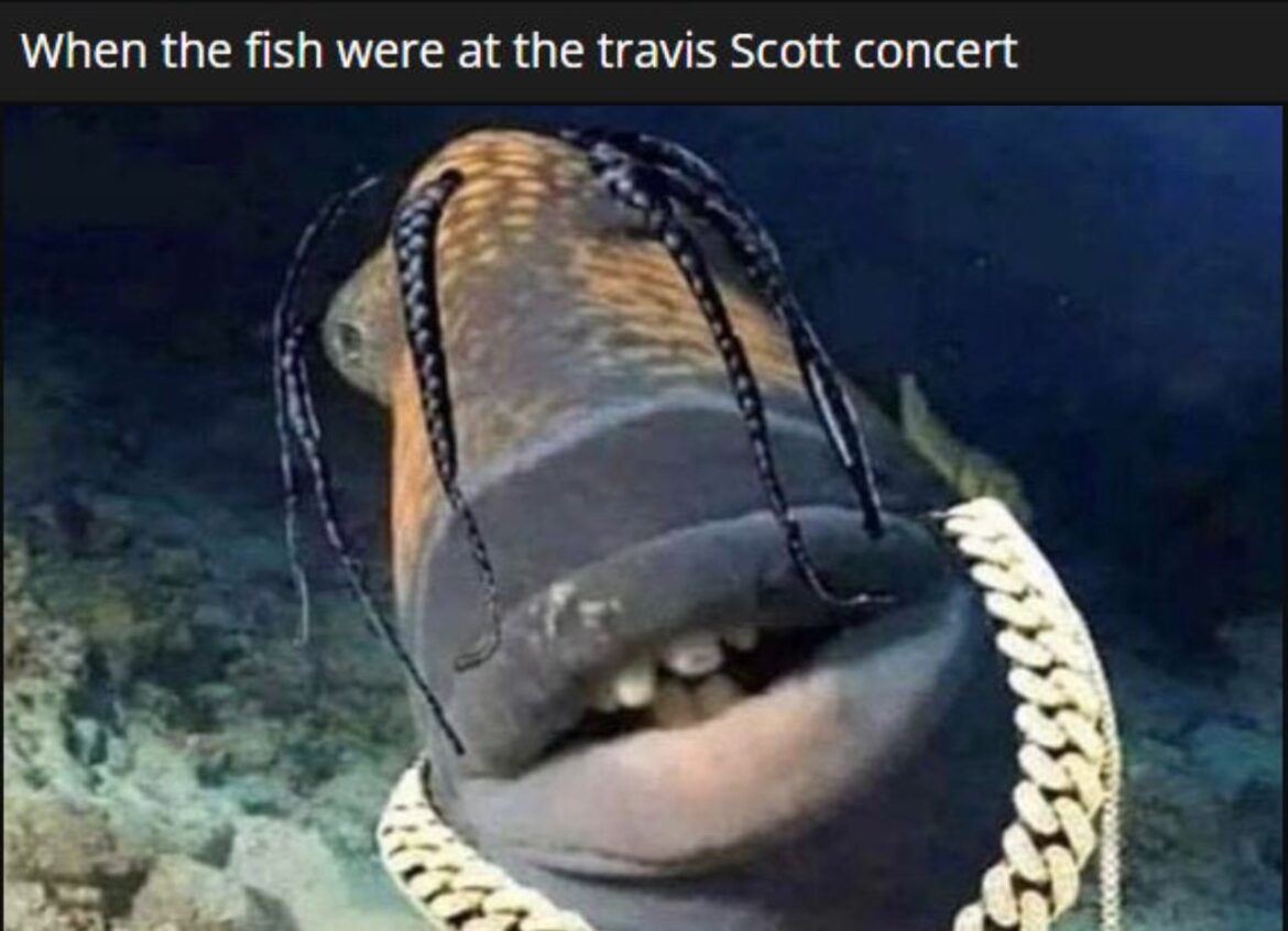 15 Travis Scott Memes to Turn Your Day into 'Sicko Mode' - Funny