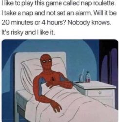 20 Nap Memes for Those Who Cherish Their Zzz's - Funny