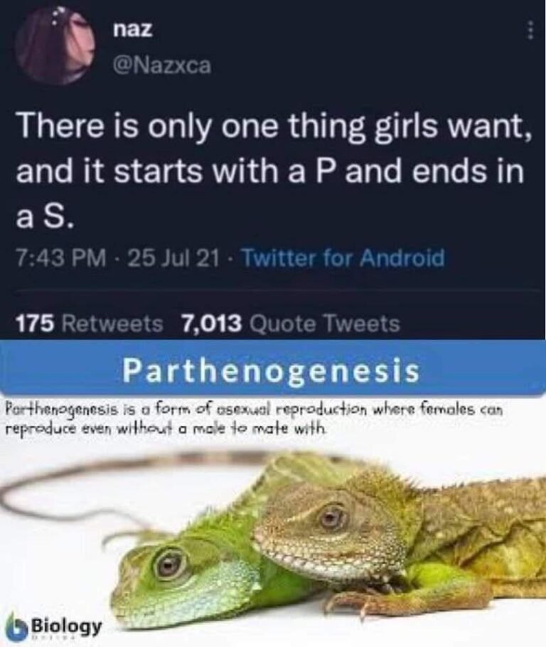 30 Clever Memes That Will Blow Your Mind - Funny