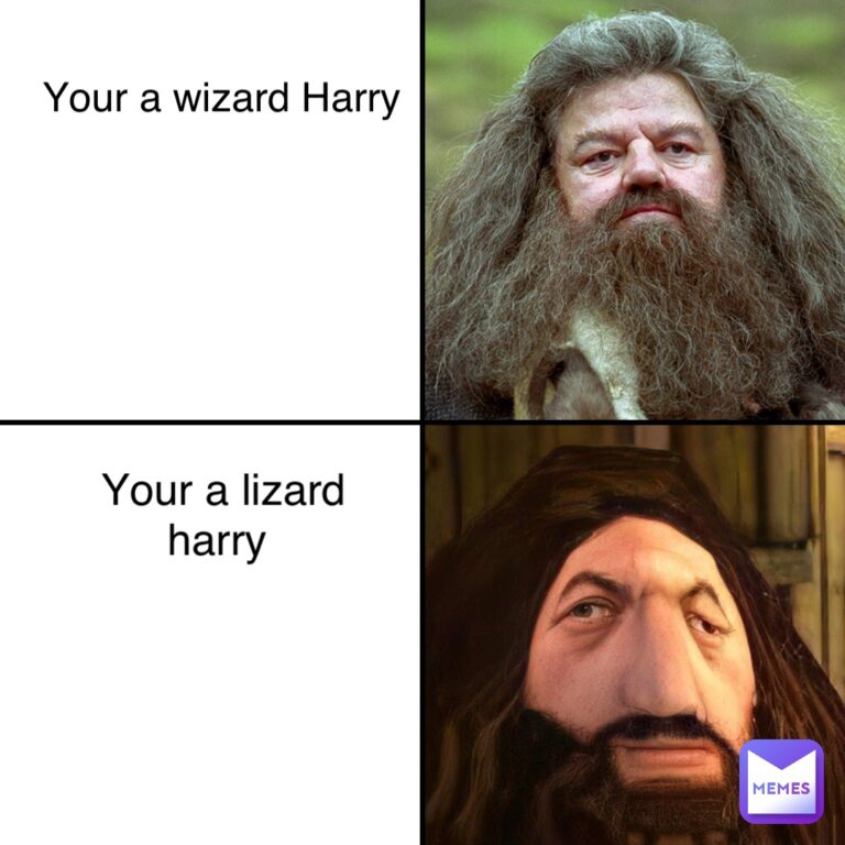 15 Wizard Memes That Will Cast a Spell on Your Funny Bone