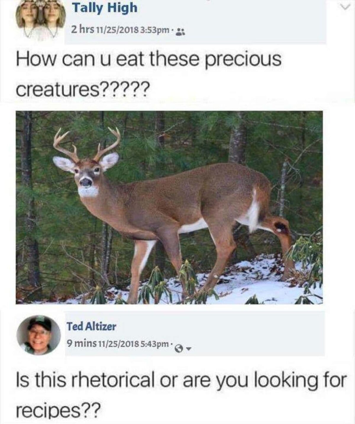 24 Deer Memes That'll Catch You Like Deer in the Headlights - Animals