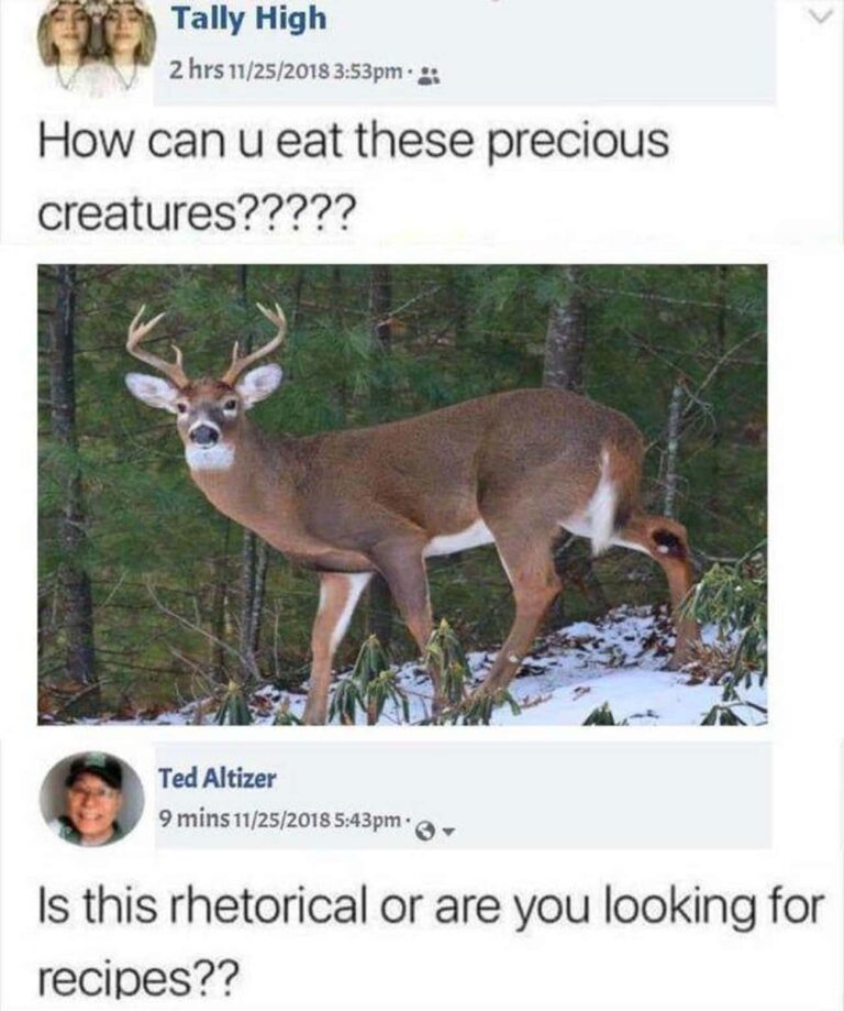 24 Deer Memes That'll Catch You Like Deer in the Headlights - Animals