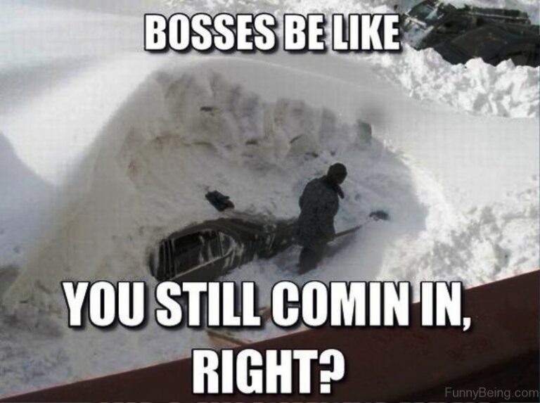 40 Winter Memes That'll Make You Go Into Hibernation - Funny