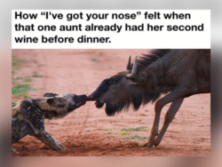 Top 15 Weekend Memes To Kick Start The Weekend - Funny