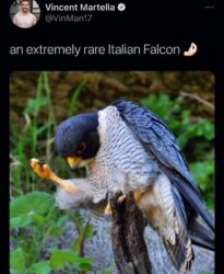 35 Best Italian Memes That'll Make You Say "Mamma Mia"! - Funny