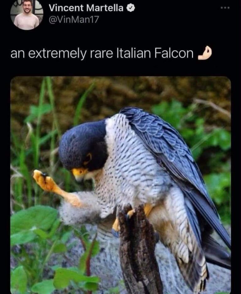 35 Best Italian Memes That'll Make You Say "Mamma Mia"! - Funny