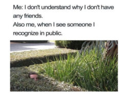 25 Shy Introvert Memes That Will Make You Laugh Silently - Funny