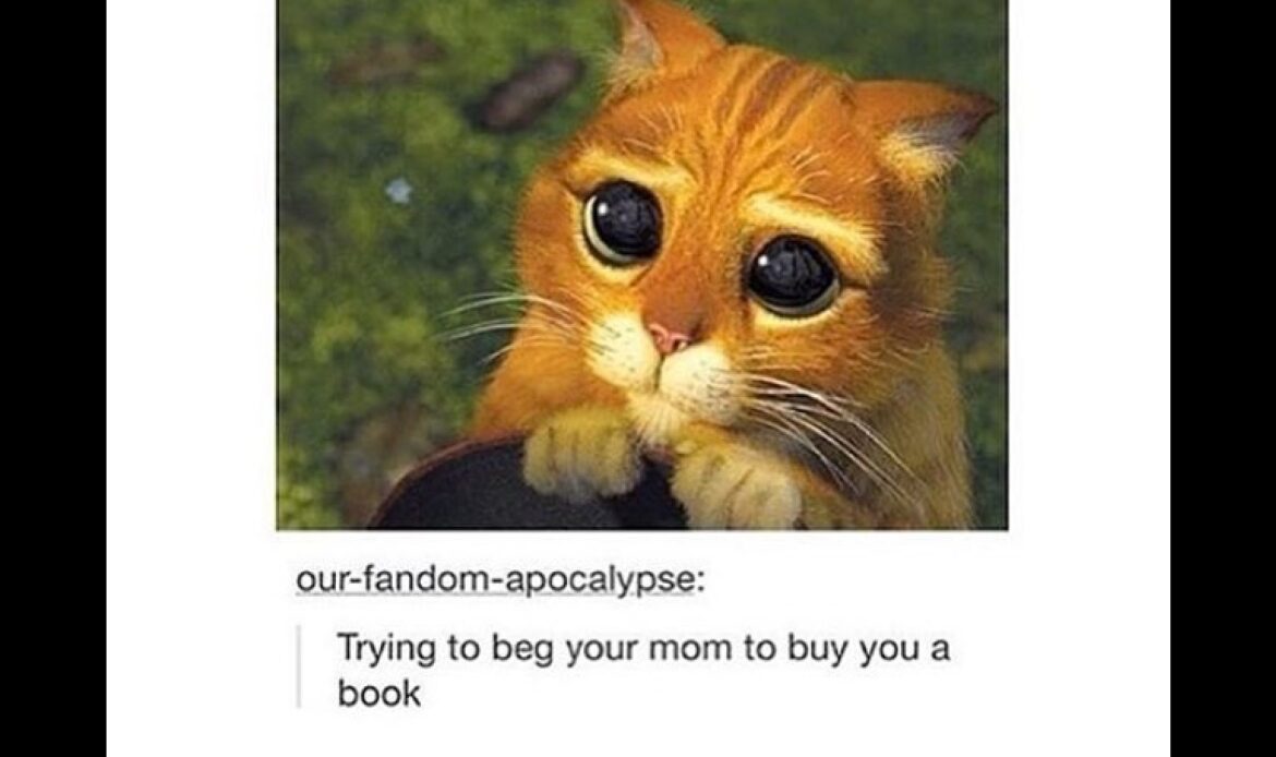 25 Bookworm Memes for the Times When Reality Can't Compete with Fiction ...