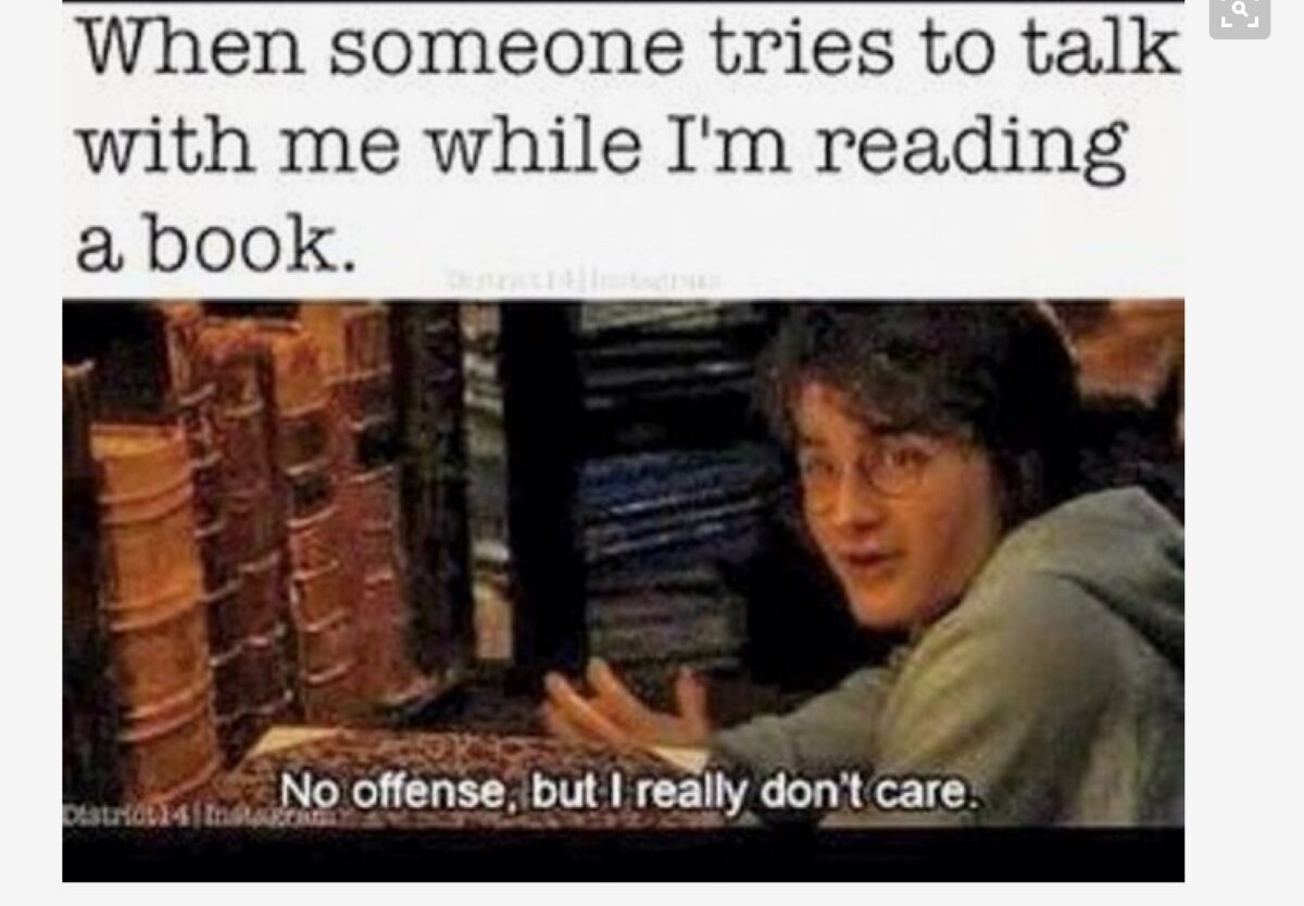 25 Bookworm Memes for the Times When Reality Can't Compete with Fiction ...