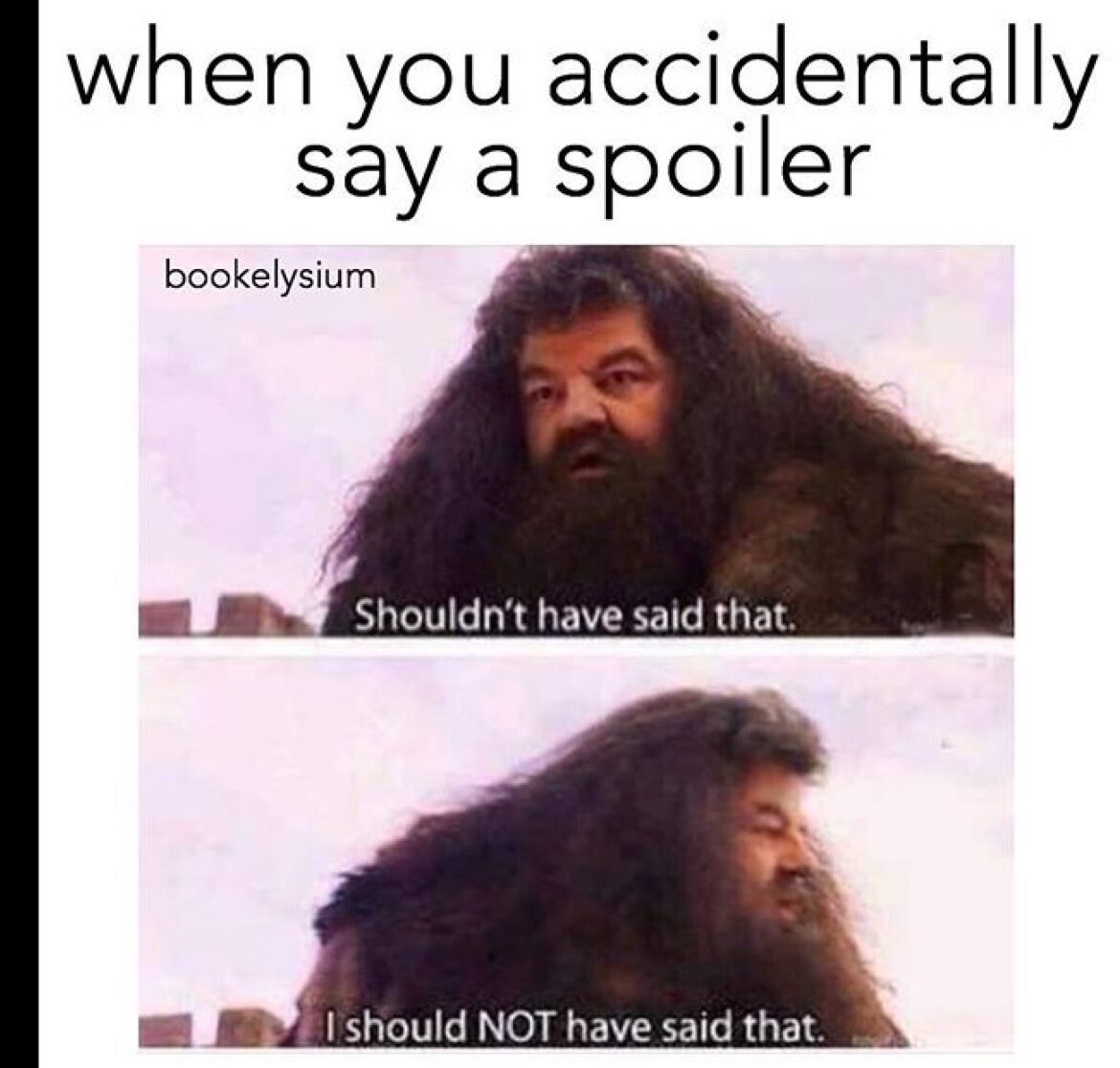 25 Bookworm Memes for the Times When Reality Can't Compete with Fiction ...