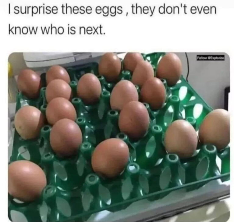 32 Egg Memes That Will Crack You Up! - Funny
