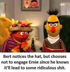 20 Hat Memes That'll Make You Want to Tip Your Cap and Chuckle - Funny