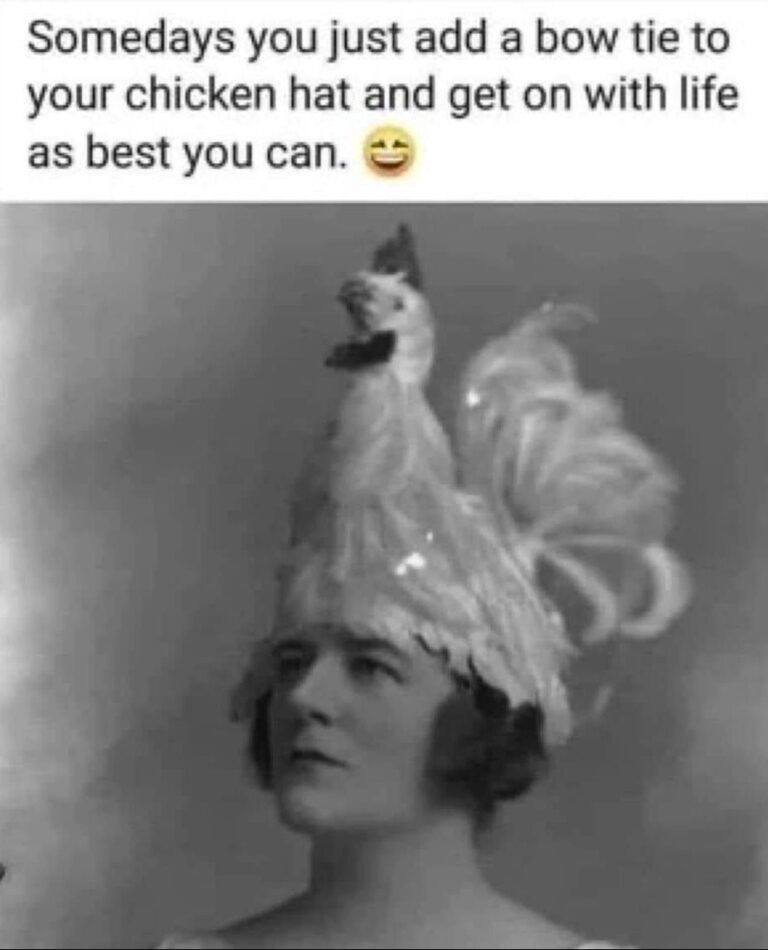 20 Hat Memes That'll Make You Want to Tip Your Cap and Chuckle - Funny