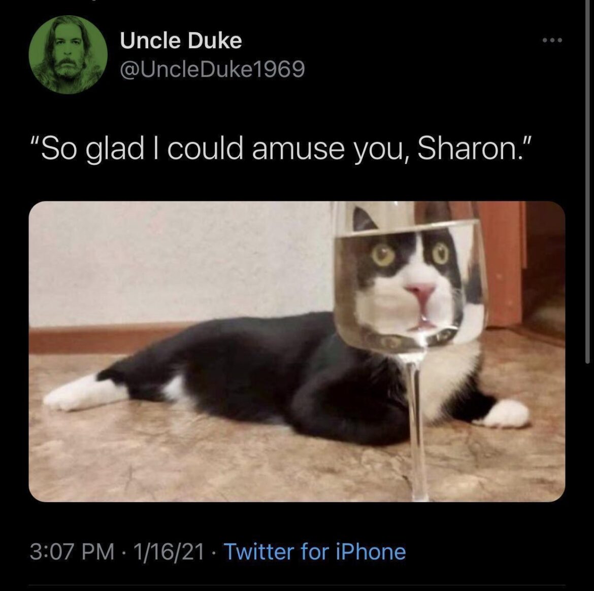 15 Sad Cat Memes That Will Melt Your Heart - Animals