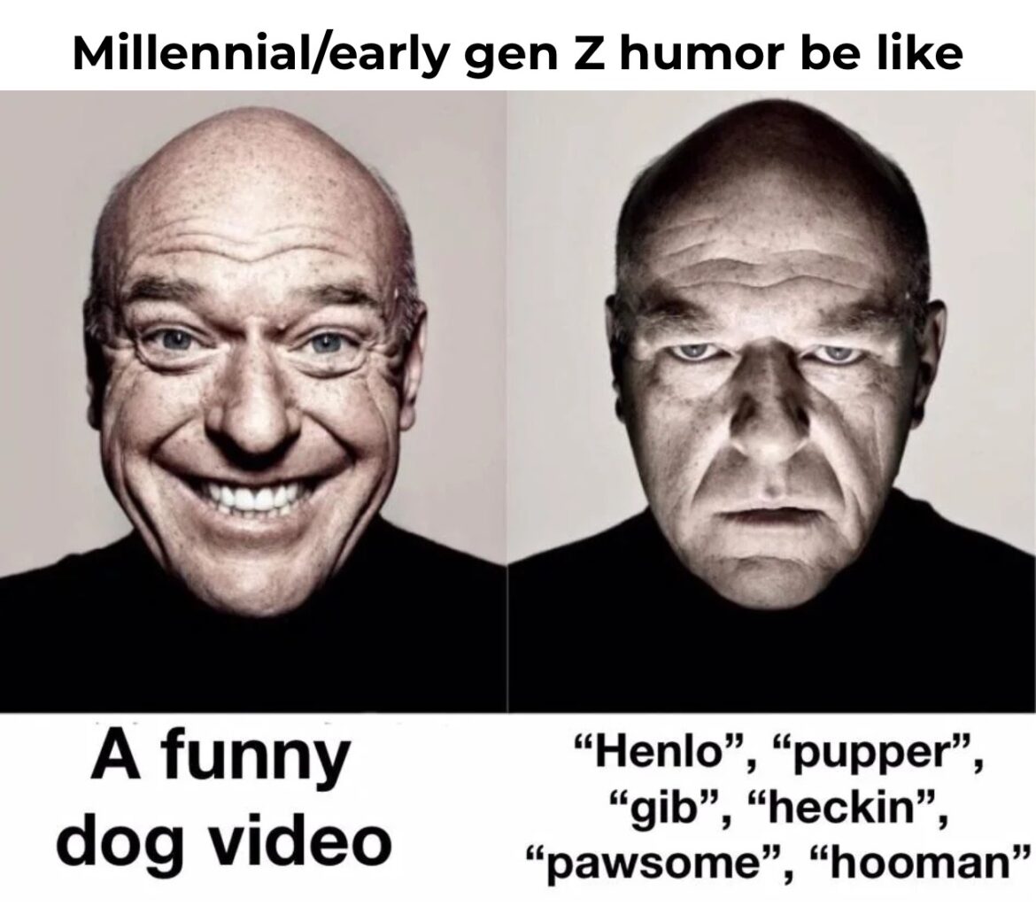 The Funniest Gen Z Memes That Will Make Every Millennial Laugh - Funny