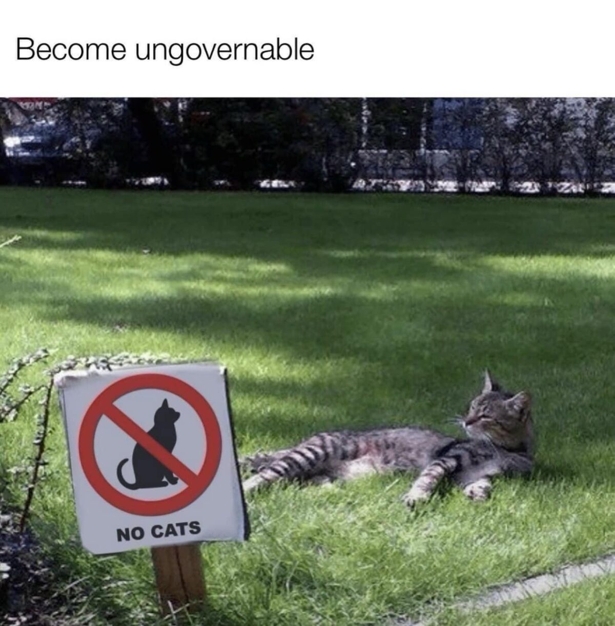 25 Generic Memes Reminding Us Not to Take Life Too Seriously - Funny