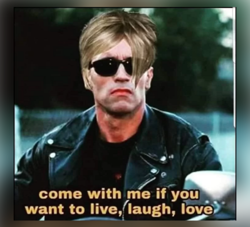 15 Memes for Anyone Who Needs a Good Laugh - Funny