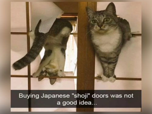 A Palette of Memes for Every Occasion - Funny