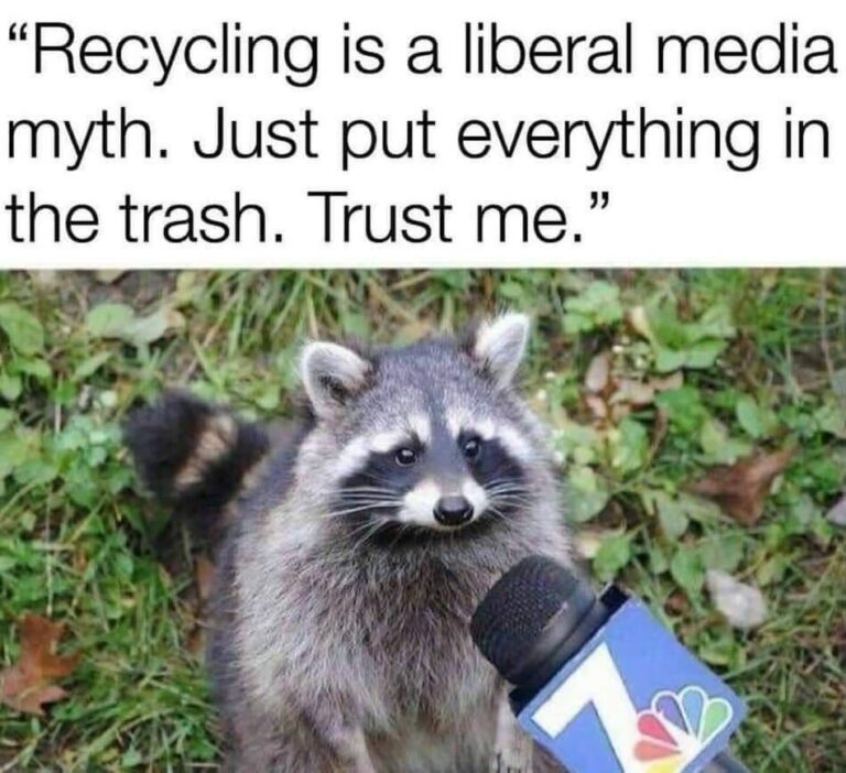 15 Recycling Memes to Make You Laugh on Global Recycling Day - Funny