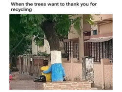 funny recycling memes - Chameleon Memes