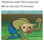 20 Water Memes to Dive into this World Water Day - Funny