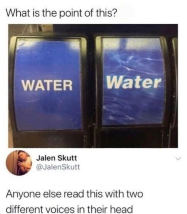 20 Water Memes to Dive into this World Water Day - Funny