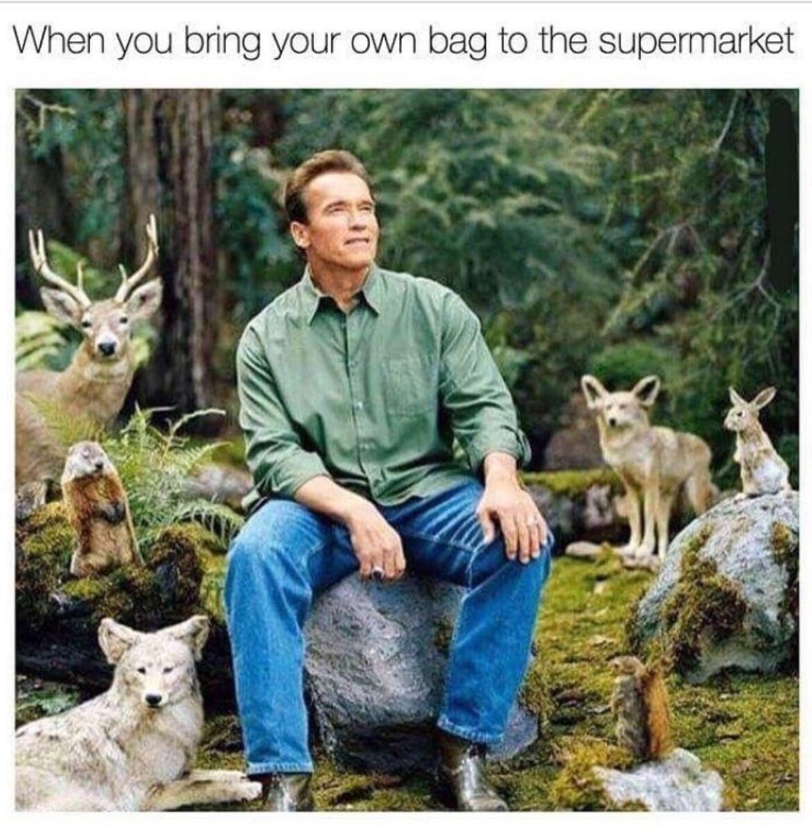 15 Recycling Memes to Make You Laugh on Global Recycling Day - Funny