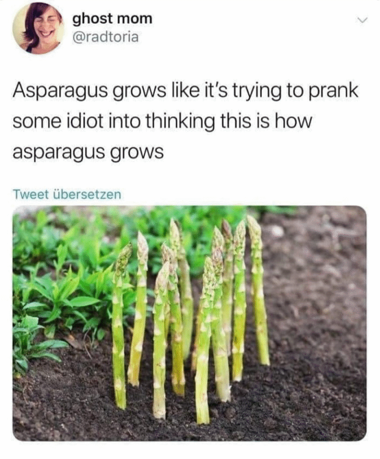 24 Nature Memes for Anyone Who Needs a Breath of Fresh Air - Funny