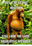20 Health Memes to Get You Laughing on World Health Day - Funny