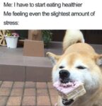 20 Health Memes to Get You Laughing on World Health Day - Funny
