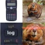 25 Dam Funny Beaver Memes to Celebrate International Beaver Day! - Animals