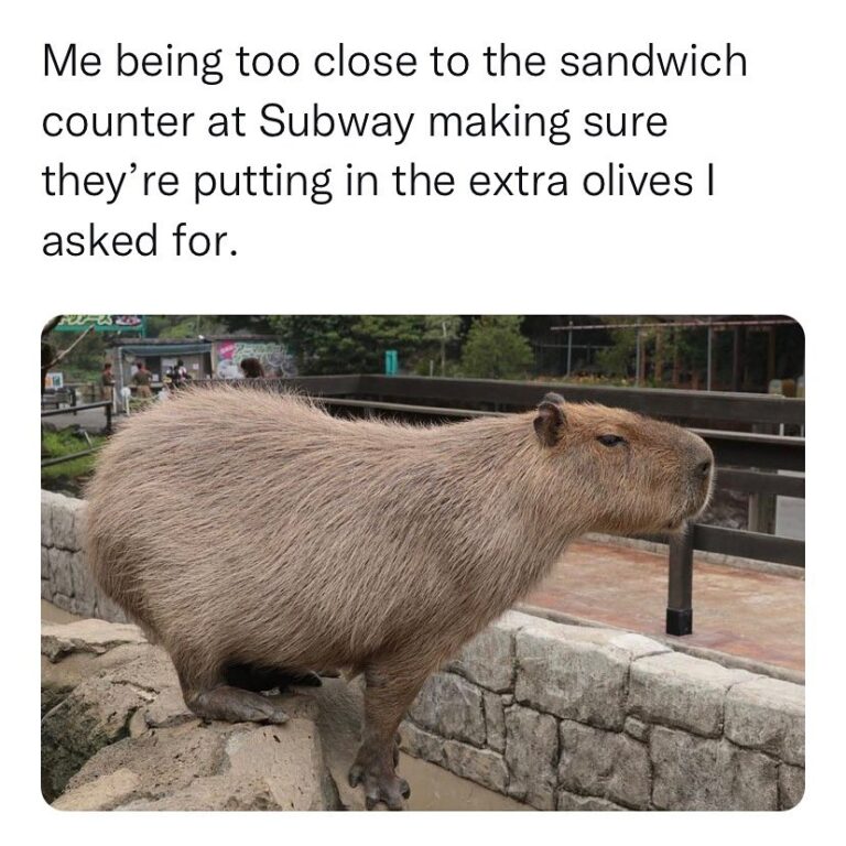 20 Fast Food Memes That'll Have You Laughing While Your Stomach ...