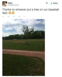 20 Baseball Memes That Hit a Home Run With Humor - Sports