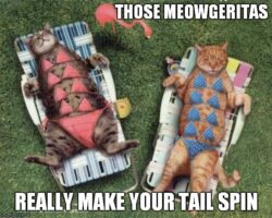 15 Sunbathing Memes That Will Make You Want To Soak Up the Sun - Funny