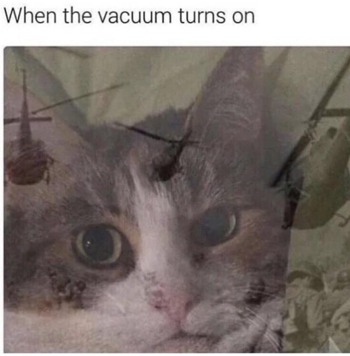 15 Memes That Should Come With a 'Laugh Responsibly' Warning - Funny