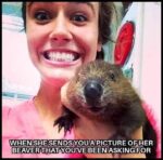 25 Dam Funny Beaver Memes to Celebrate International Beaver Day! - Animals