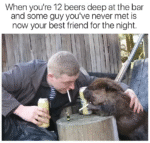 25 Dam Funny Beaver Memes to Celebrate International Beaver Day! - Animals
