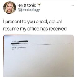 30 Resume Memes That Deserves an Oscar for Fiction Writing - Funny
