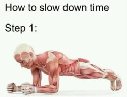 25 Funny Gym Memes That Are Funner Than Leg Day Excuses - Funny