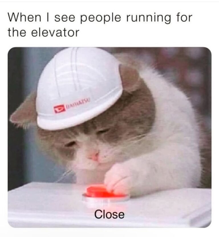 25 Shy Introvert Memes That Will Make You Laugh Silently - Funny