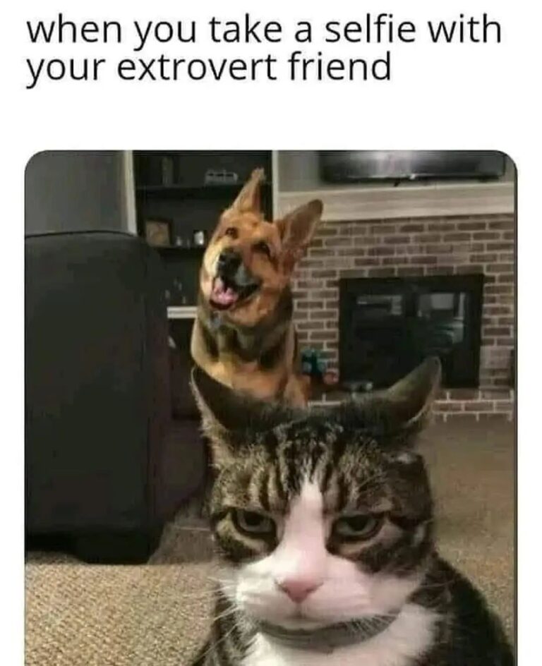 20 Best Introvert Memes for When You’re Peopled Out - Funny
