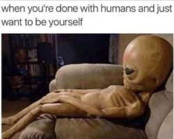 20 Best Introvert Memes for When You’re Peopled Out - Funny