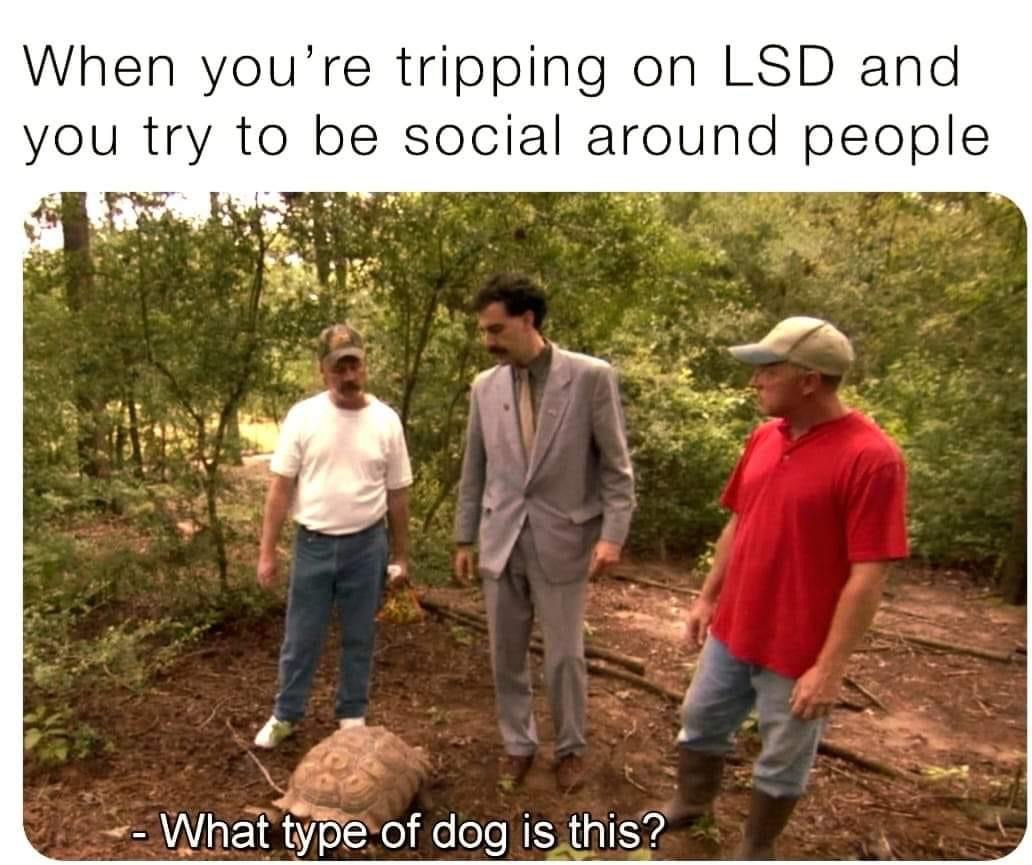 25 Memes That Will Make You Forget What You Were Doing - Funny