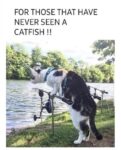 24 Hysterical Memes to Make You Laugh Until You Need a Nap - Funny