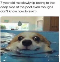 20 Swimming Pool Memes to Keep Your Laughs Above Water - Funny