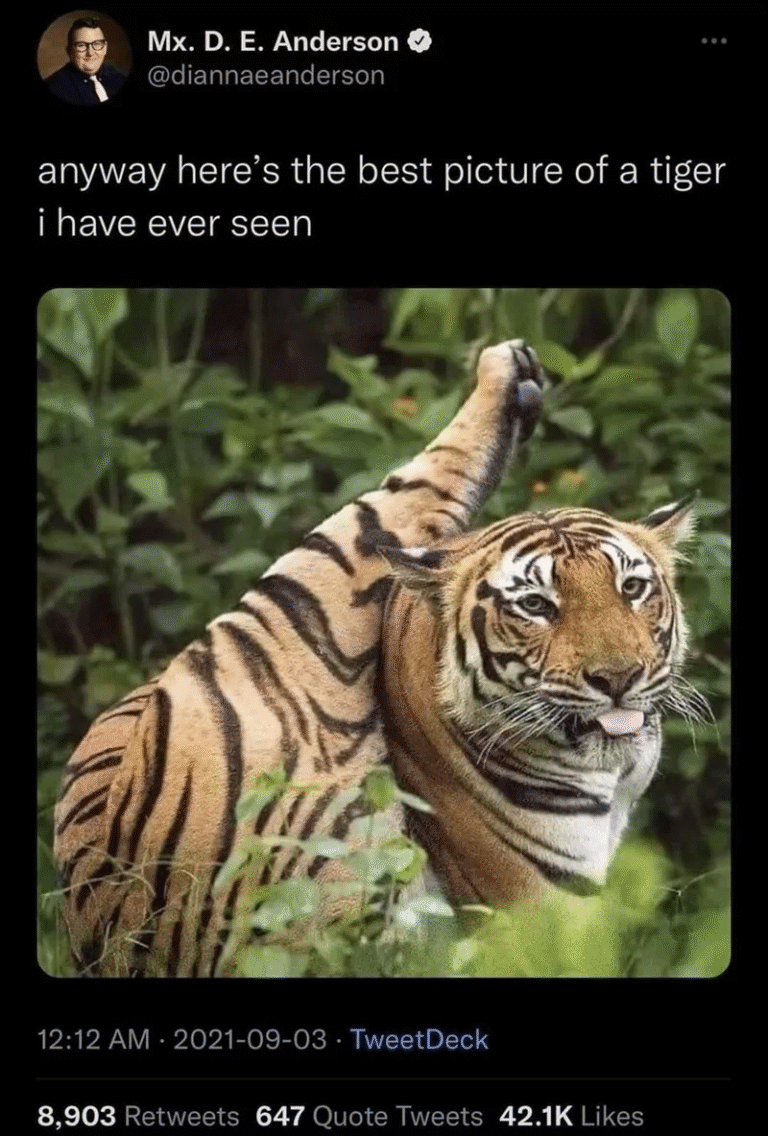 20 Tiger Memes to Turn Your International Tiger Day Into a Laugh Safari ...