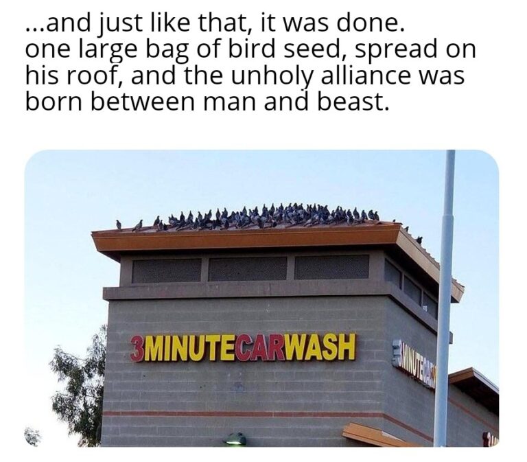 20 Car Wash Memes That’ll Make You Wet with Laughter - Auto Memes