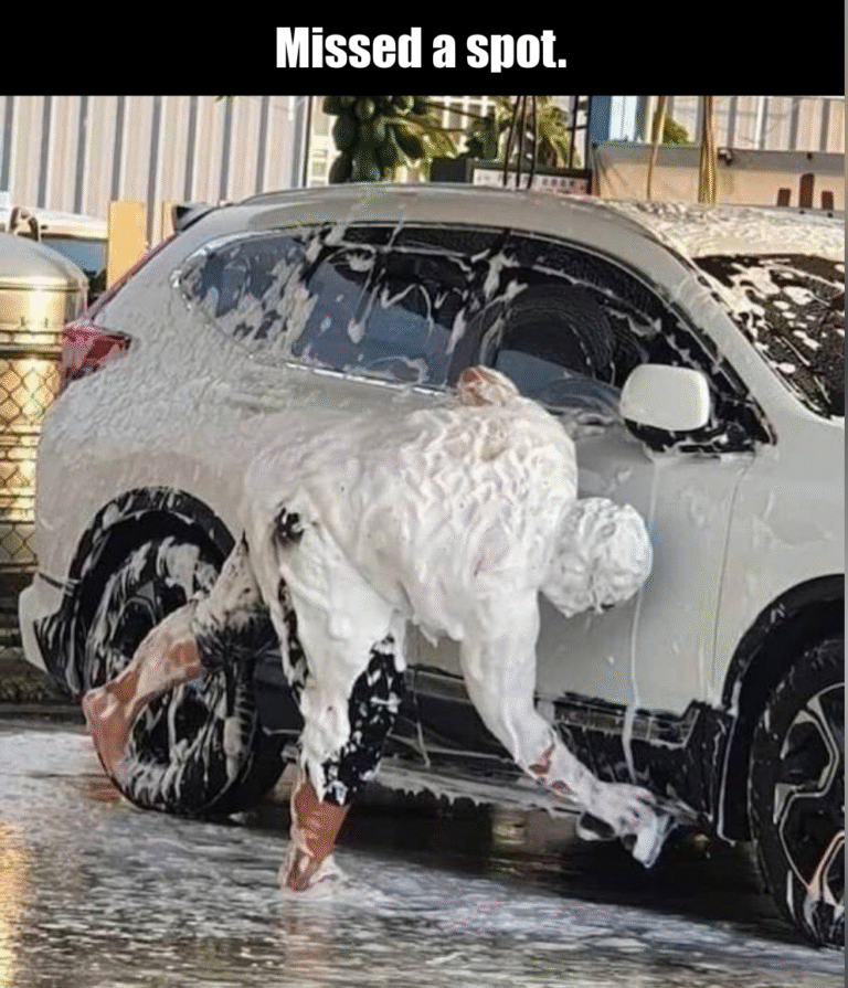 20 Car Wash Memes That’ll Make You Wet with Laughter - Auto Memes