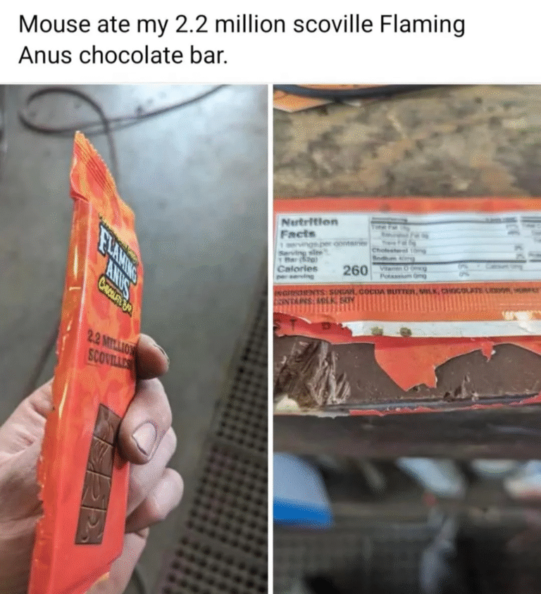 25 Chocolate Memes That Will Make Your International Chocolate Day ...