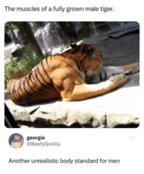 20 Tiger Memes to Turn Your International Tiger Day Into a Laugh Safari ...